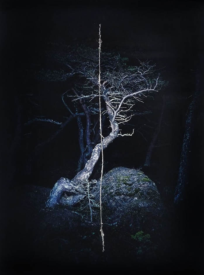 Dominik Fleischmann - Cultureland